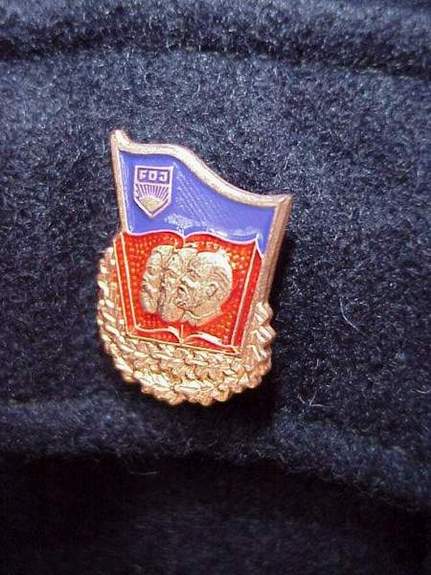1955 FDJ Badge - DDR MEDALS & AWARDS - World Militaria Forum