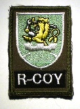 Finnish NATO KFOR patches - SCANDINAVIA - World Militaria Forum