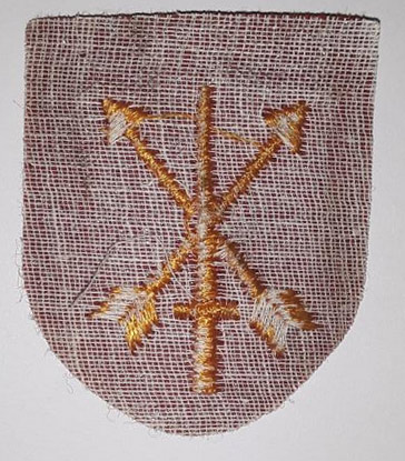 Identified - Collector 'Project White Star' patch. - CAN YOU IDENTIFY ...