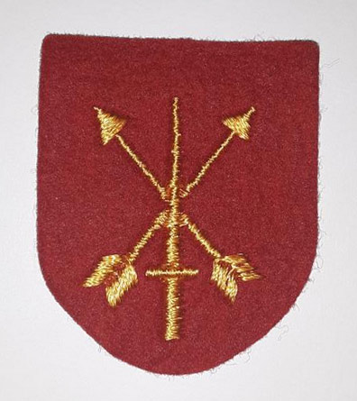 Identified - Collector 'Project White Star' patch. - CAN YOU IDENTIFY ...