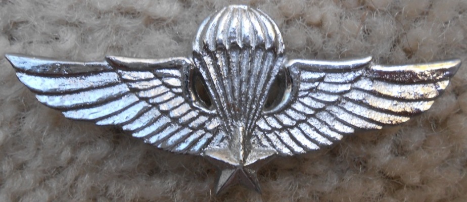 PRU beret badge find at flea market if it is real - NVA/VC CLOTH ...
