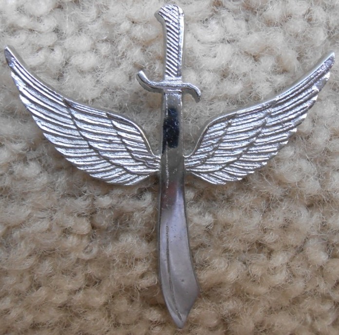 PRU beret badge find at flea market if it is real - NVA/VC CLOTH ...