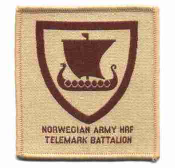 Norwegian Army patches - SCANDINAVIA - World Militaria Forum