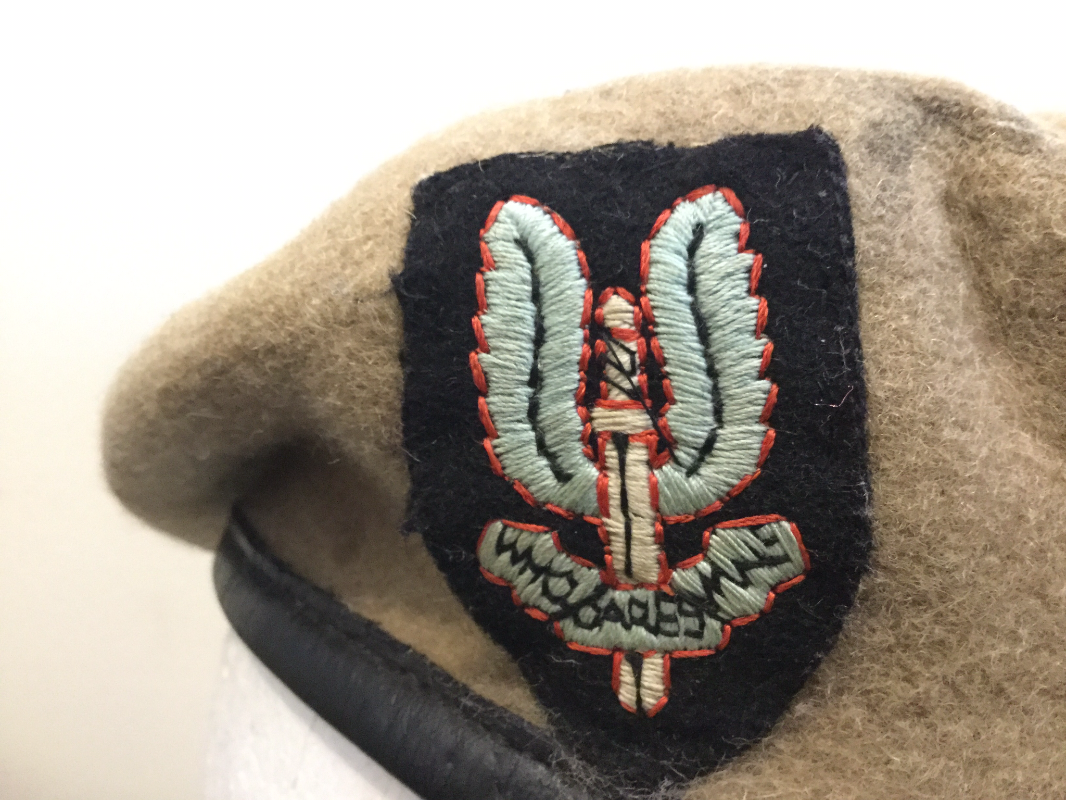 Rhodesian Special Air Service insignia - ALL AFRICAN NATIONS - World ...