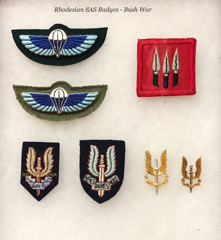 Rhodesian Special Air Service insignia - ALL AFRICAN NATIONS - World ...