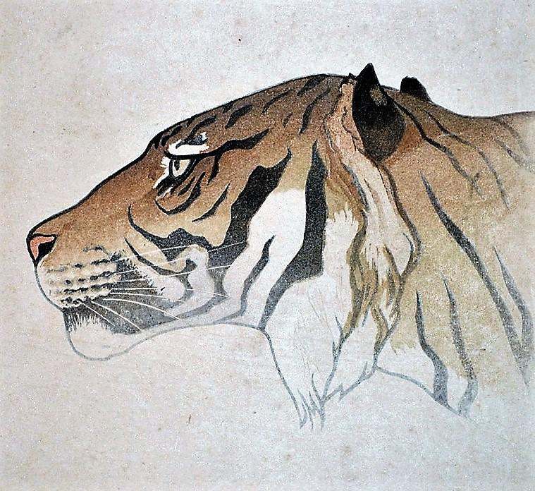 Book Release- Battle Carried: Imperial Japanese Tiger Art Good Luck ...