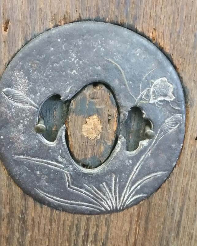 Japanese sword tsuba display, I think! - JPN SWORDS & WEAPONS - World ...