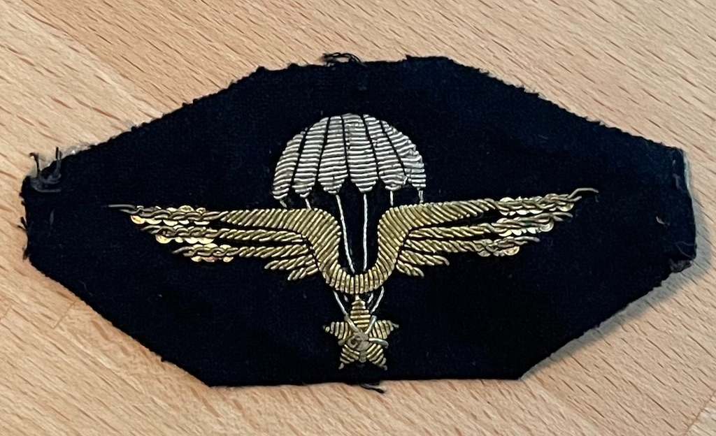 WWII Cloth/Bullion French Paratrooper Badge? - FR MEDALS, BADGES ...