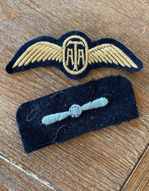 Whose wings are these? ATA ?? Brit , Canada? - CAN YOU IDENTIFY THIS ...