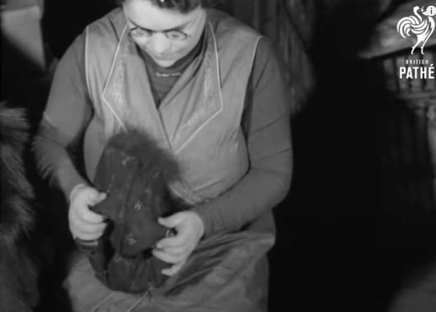 Bearskin Helmets (Caps): The Iconic Headdress of the Foot Guards ...