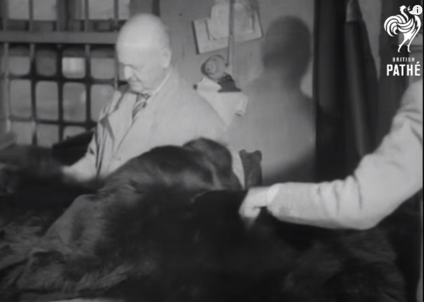 Bearskin Helmets (Caps): The Iconic Headdress of the Foot Guards ...