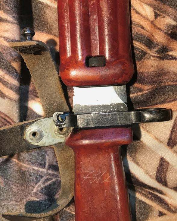 Your Collection Displays - Let's see them! - Page 3 - DISPLAYS - World ...