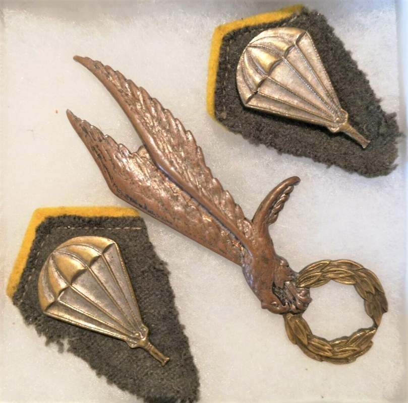 Free Polish parachute pin - OTHER NATIONS OF EUROPE - World Militaria Forum