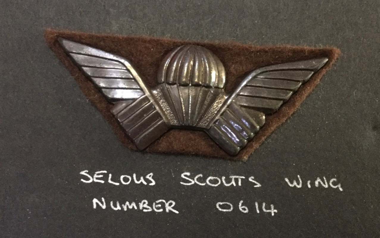 Selous Scout wing - ALL AFRICAN NATIONS - World Militaria Forum