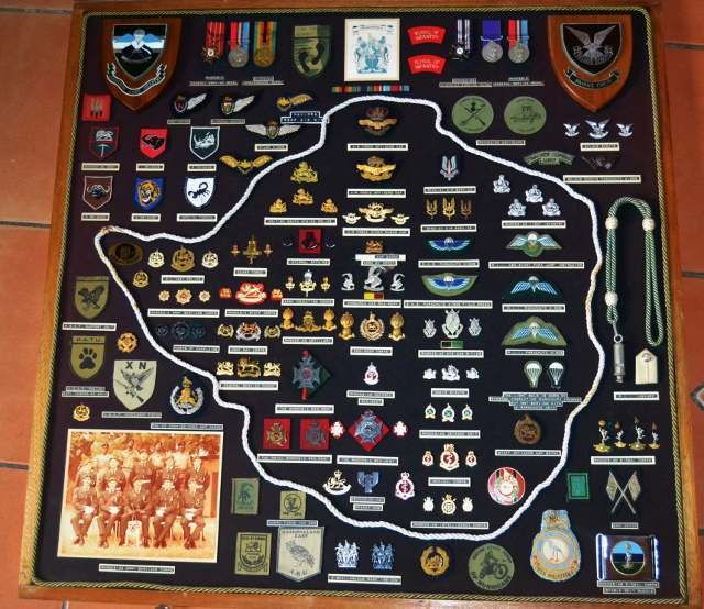 Selous Scout wing - ALL AFRICAN NATIONS - World Militaria Forum