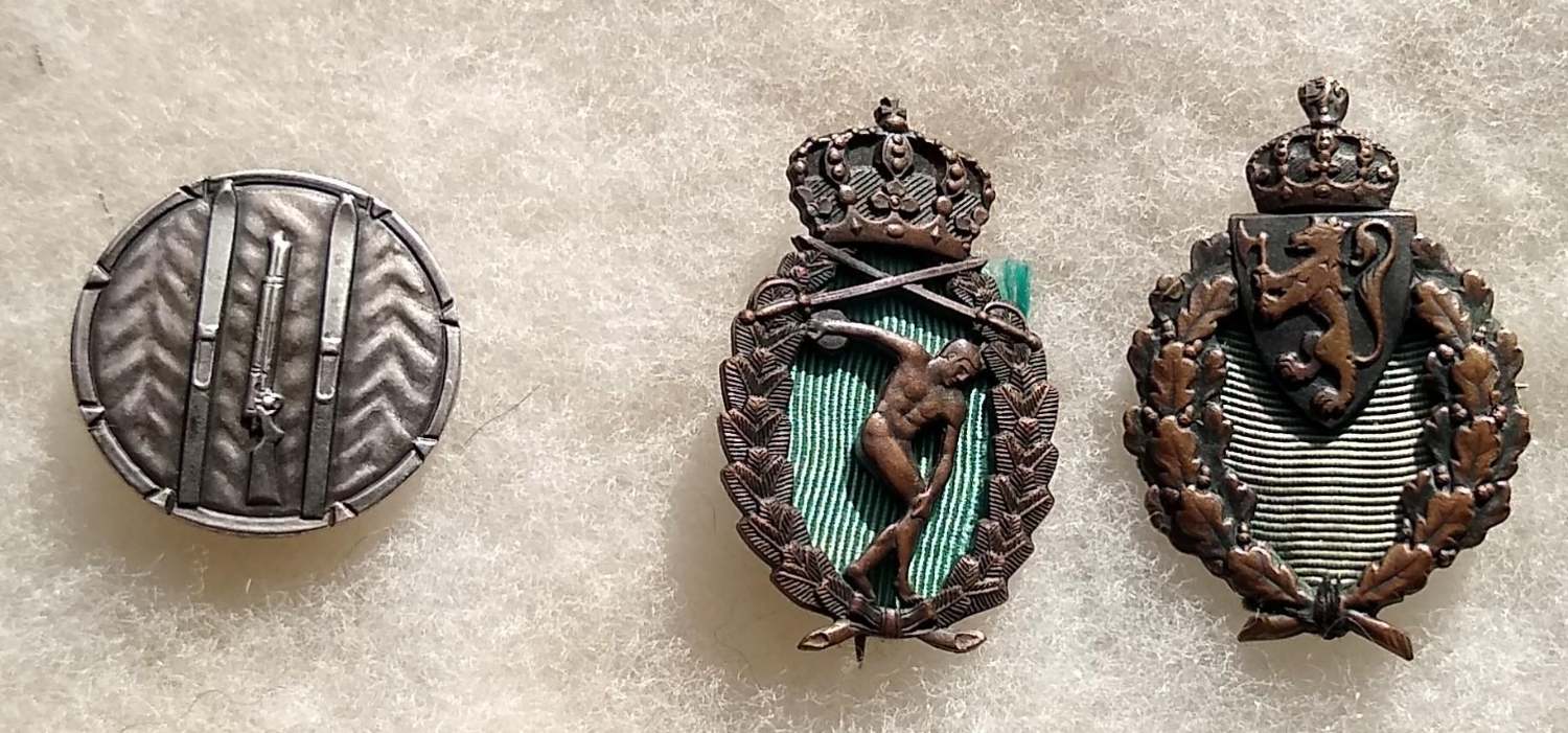 Norwegian Proficiency Badges - SCANDINAVIA - World Militaria Forum