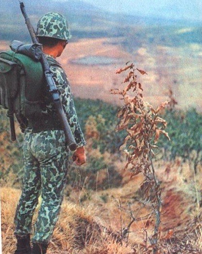 Pattern 58 camo Helmet cover - SOUTH KOREA - World Militaria Forum