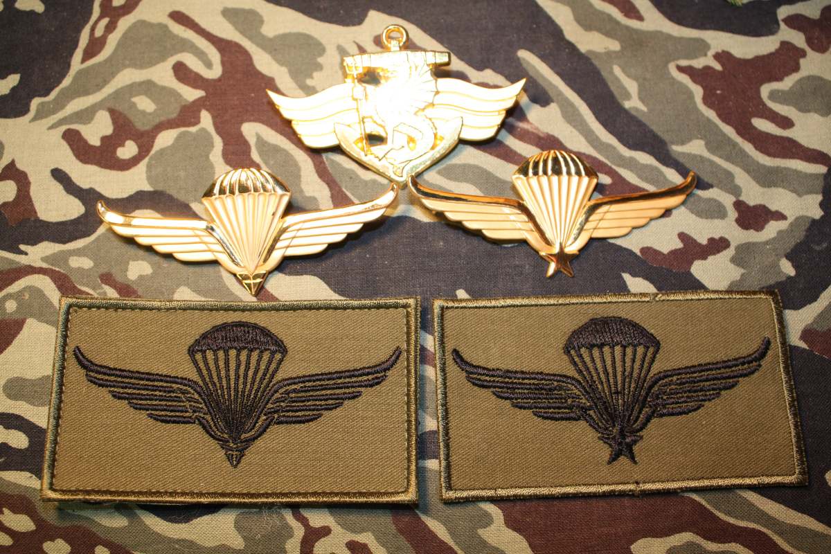 Norwegian Parachute Badge - Jump Wings of Norway - SCANDINAVIA - World ...