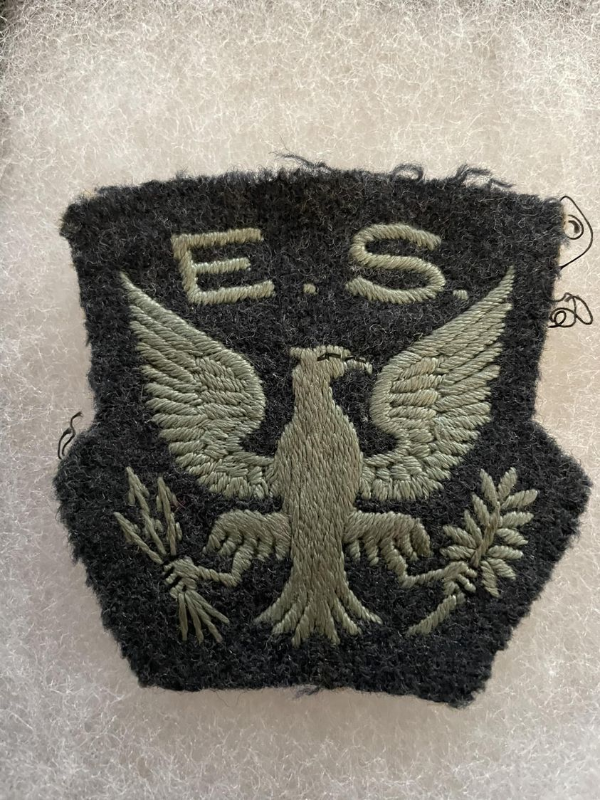 RAF Eagle Squadron Formation Sign - The Air Force - World Militaria Forum