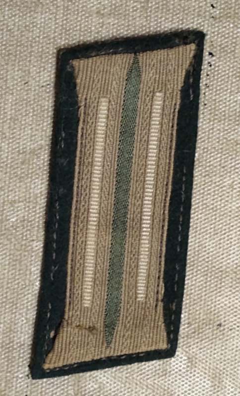 Collar Insignia Question? - CAN YOU IDENTIFY THIS? - World Militaria Forum
