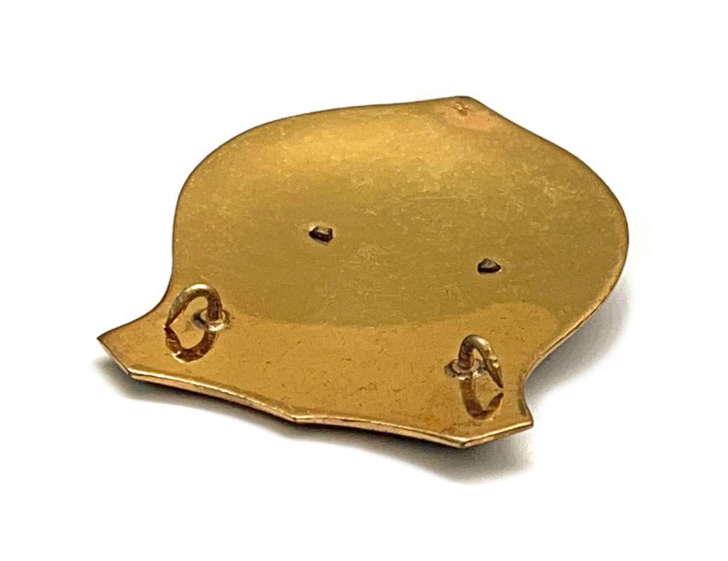 Peruvian Army Badge What Does It Signify, Date, Etc.? - CAN YOU ...