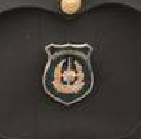 Peruvian Army Badge What Does It Signify, Date, Etc.? - CAN YOU ...