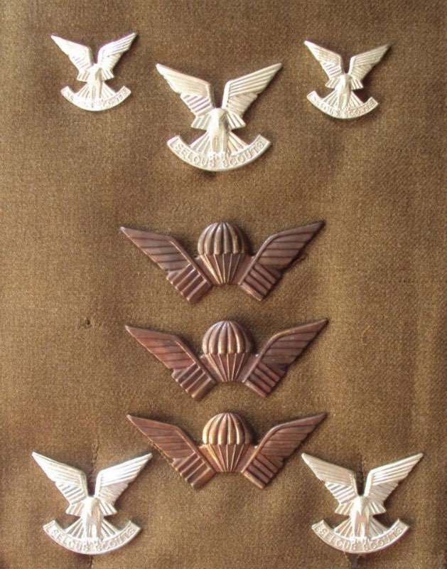Parachute wings of Rhodesia. - ALL AFRICAN NATIONS - World Militaria Forum