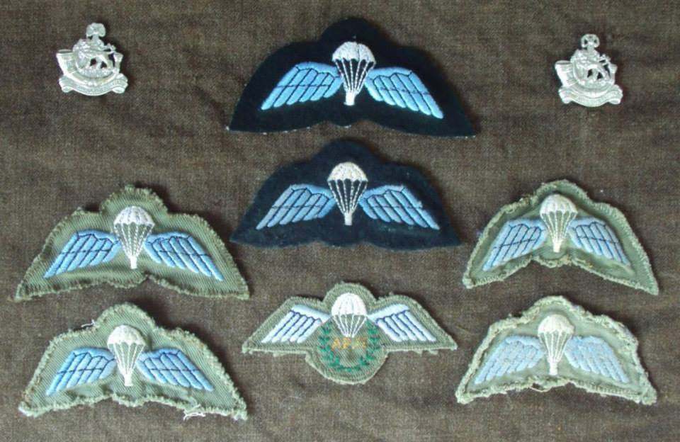 Parachute wings of Rhodesia. - ALL AFRICAN NATIONS - World Militaria Forum