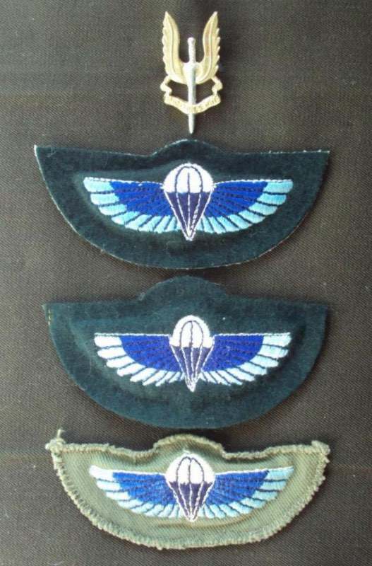 Parachute wings of Rhodesia. - ALL AFRICAN NATIONS - World Militaria Forum