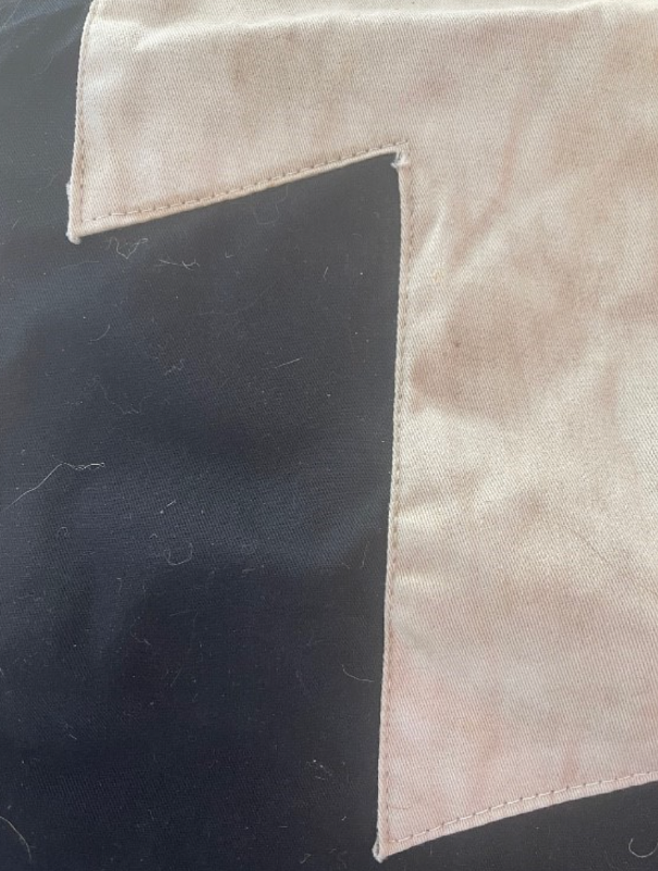 SS Rune flag? Real or Authentic? - REAL, REPRO OR FAKE? - World ...