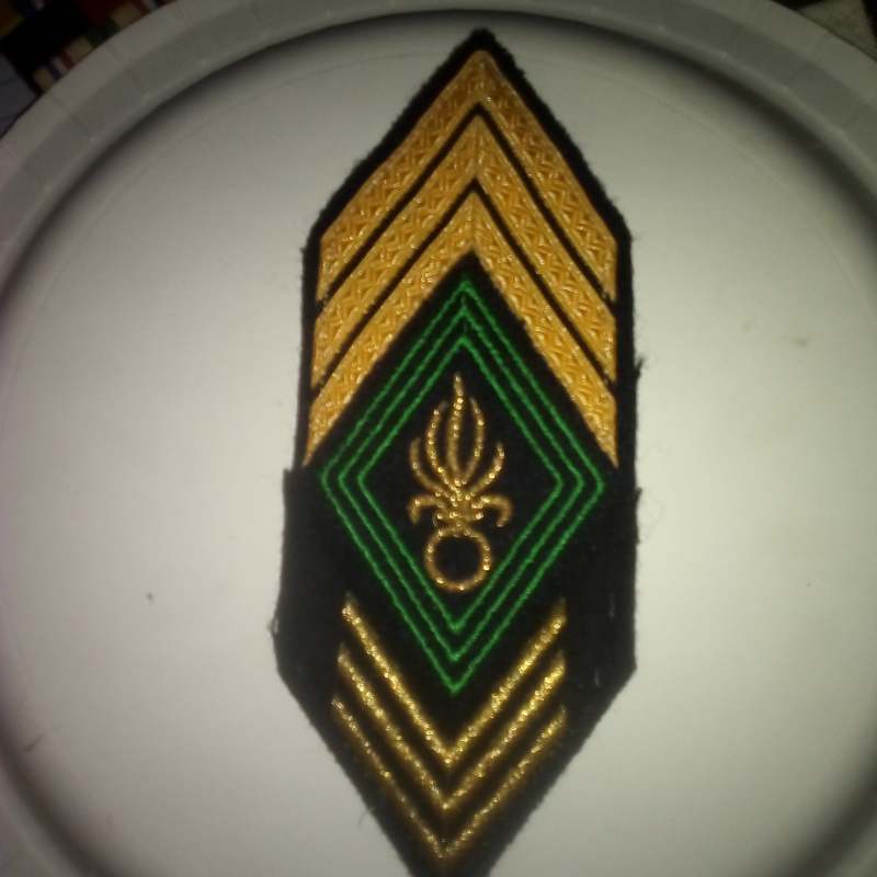 ID´d: French Foreign Legion Patches - FR MEDALS, BADGES & INSIGNIA ...