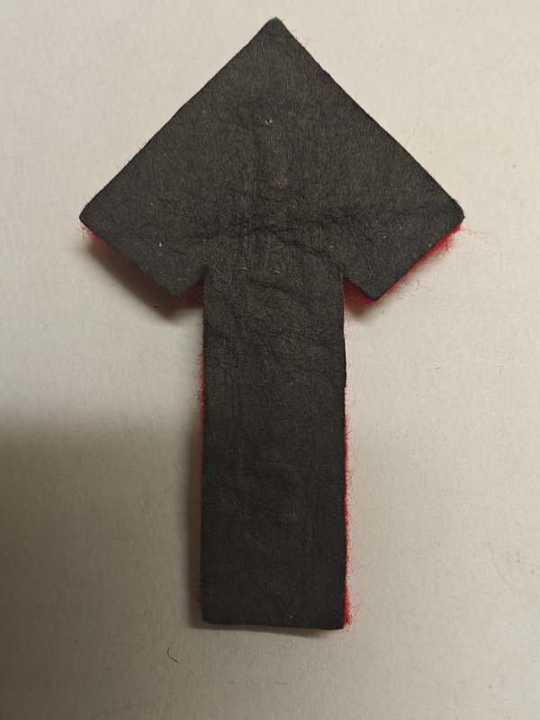 Tyr Rune Reichsführerschulen der NSDAP - REAL, REPRO OR FAKE? - World ...