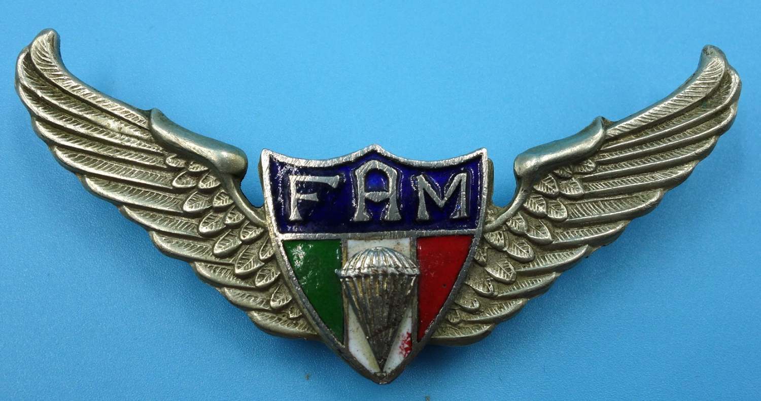 Mexican Wings, Pilot or Paratrooper? - CAN YOU IDENTIFY THIS? - World ...