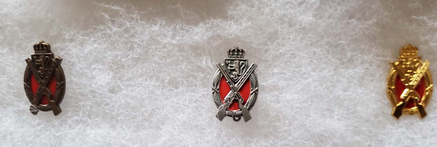 Norwegian Army insignia - SCANDINAVIA - World Militaria Forum Norwegian Army insignia - SCANDINAVIA - World Militaria Forum