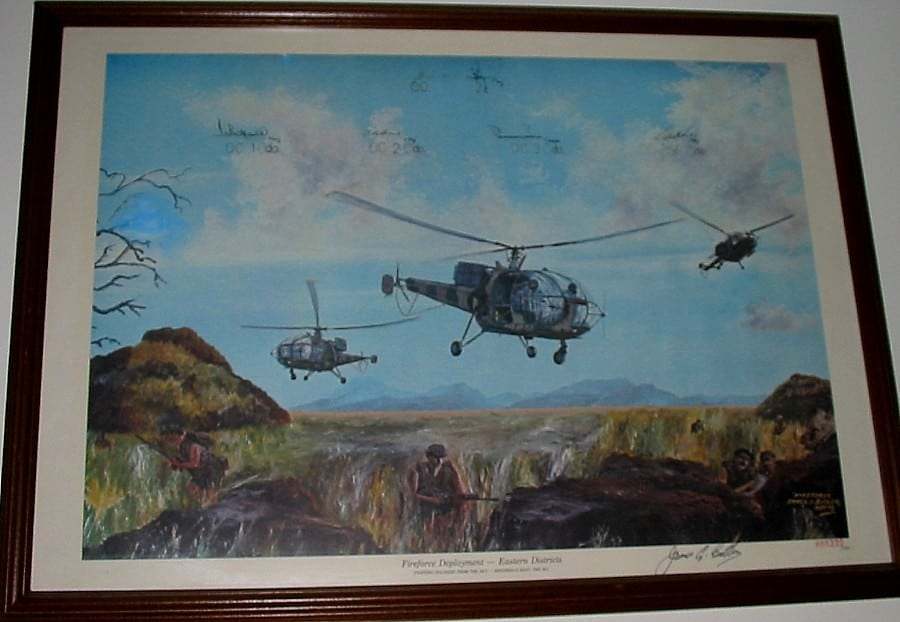 Rhodesian Bush War prints - ALL AFRICAN NATIONS - World Militaria Forum