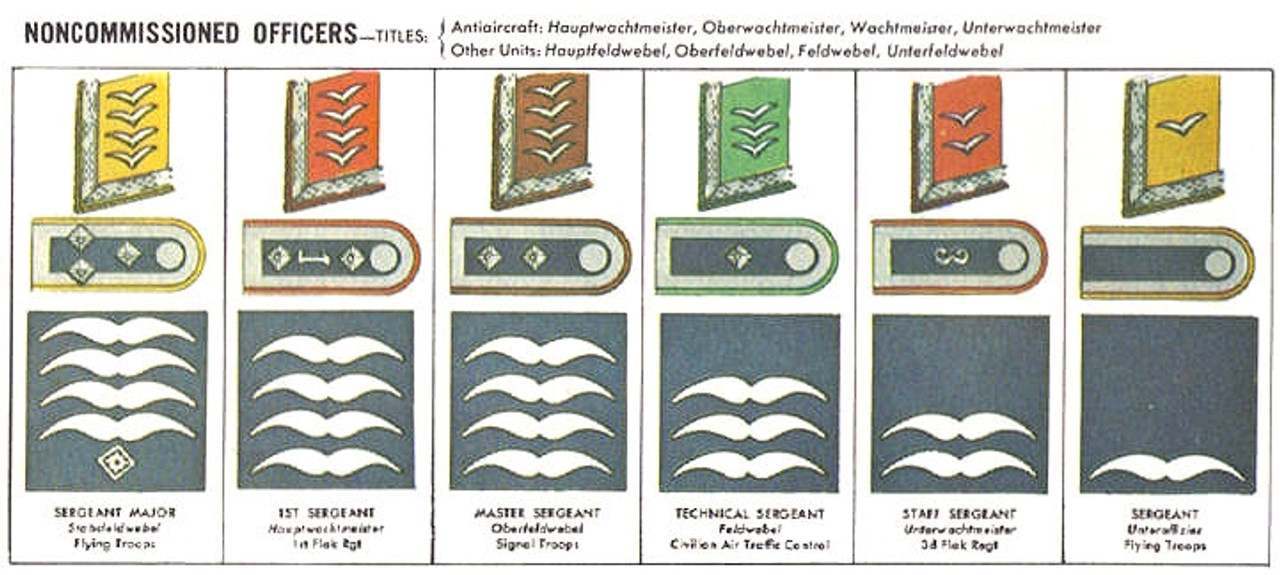 Cloth Insignia of the Luftwaffe - Page 2 - TR BADGES & INSIGNIA - World ...